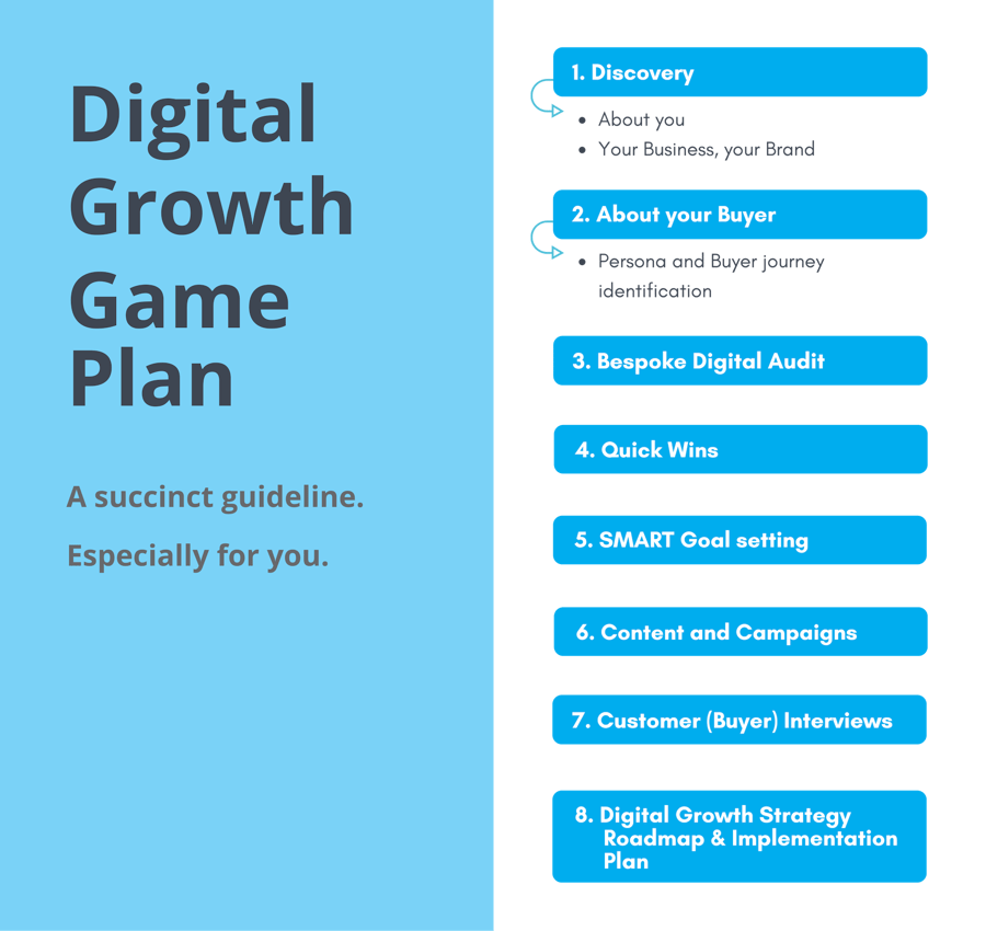 Digital Growth Game Plan | Lupo Digital